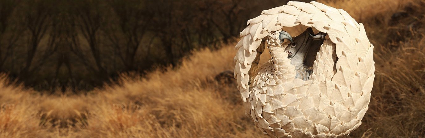 Ardmore Design – THE WILD SHOWCASE