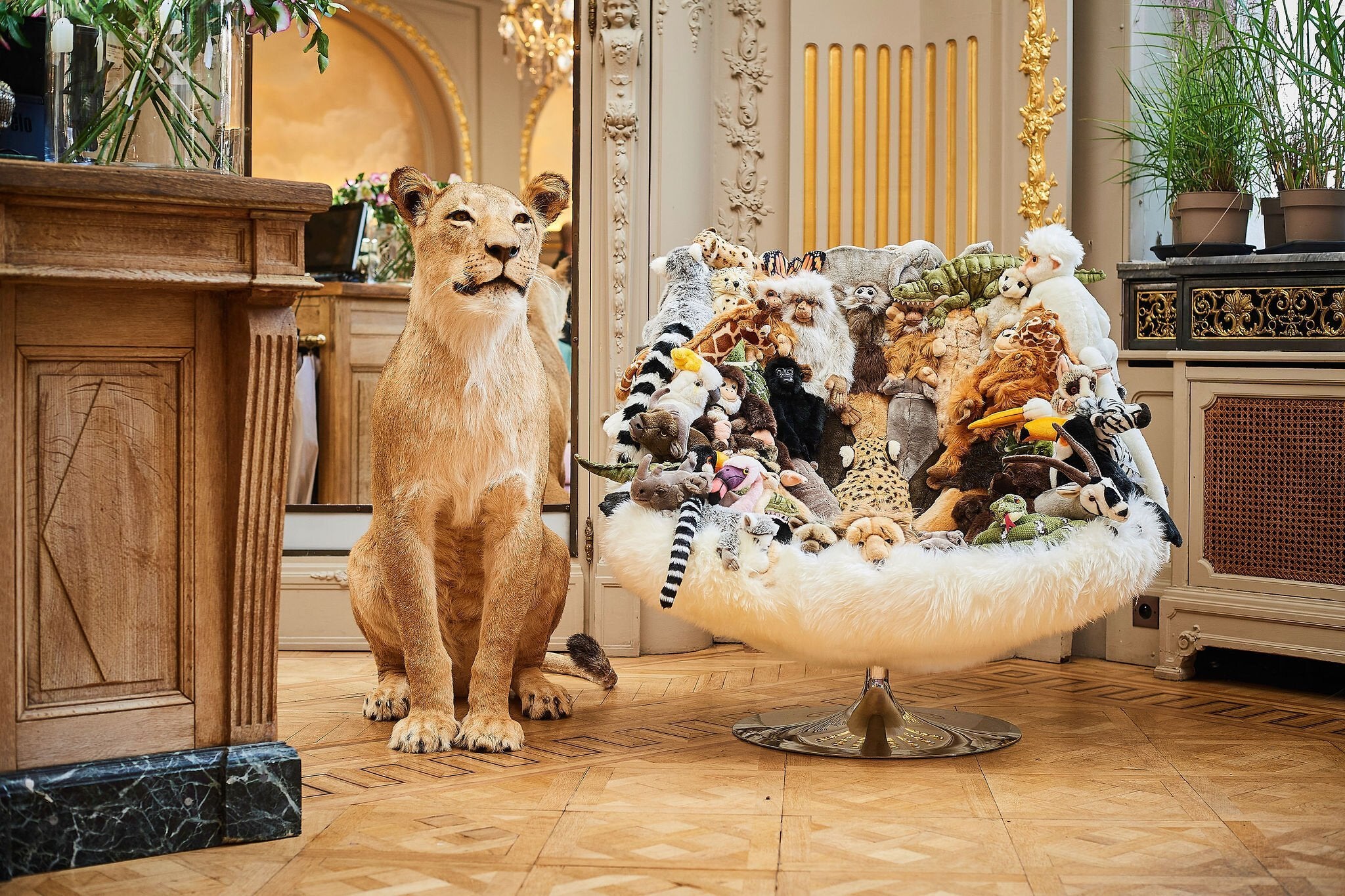 AFRICAN SAFARI CHAIR – THE WILD SHOWCASE