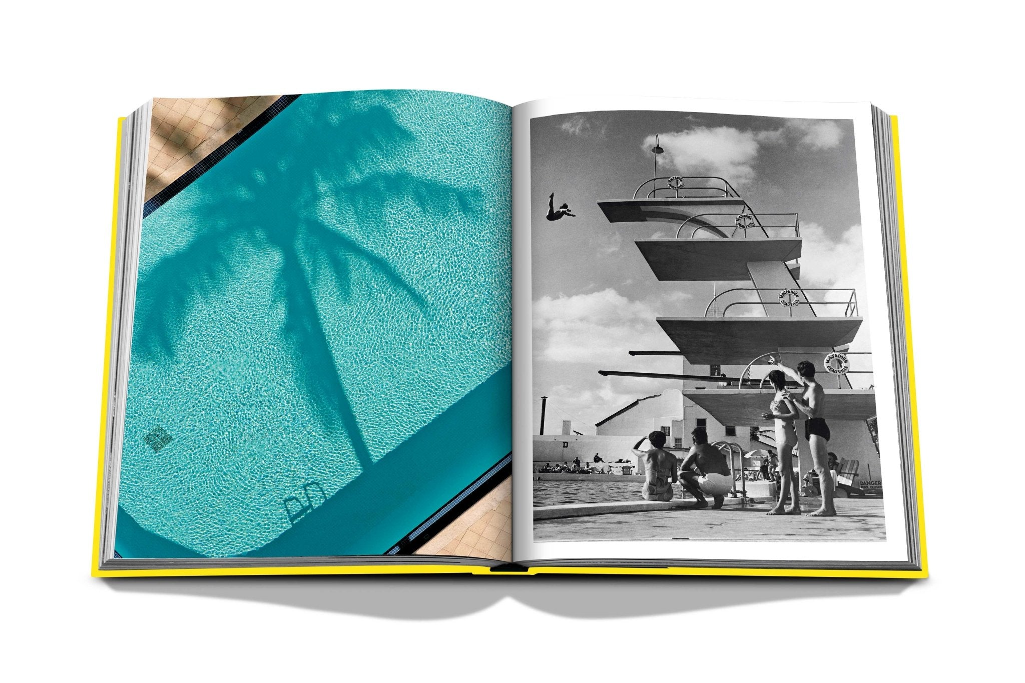 Miami Beach – THE WILD SHOWCASE