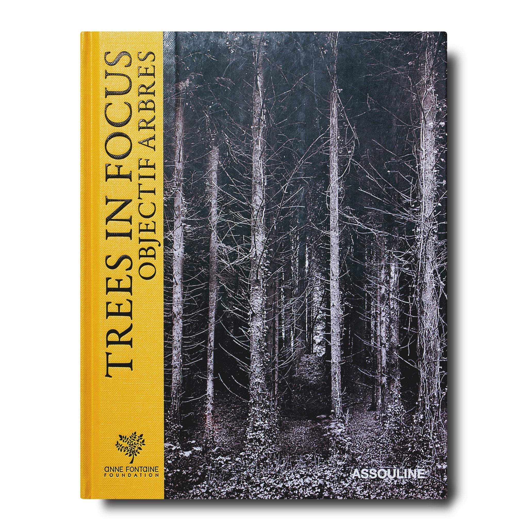 Trees in Focus – THE WILD SHOWCASE